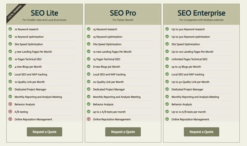 SEO Plans 2024, - Zevi Digital